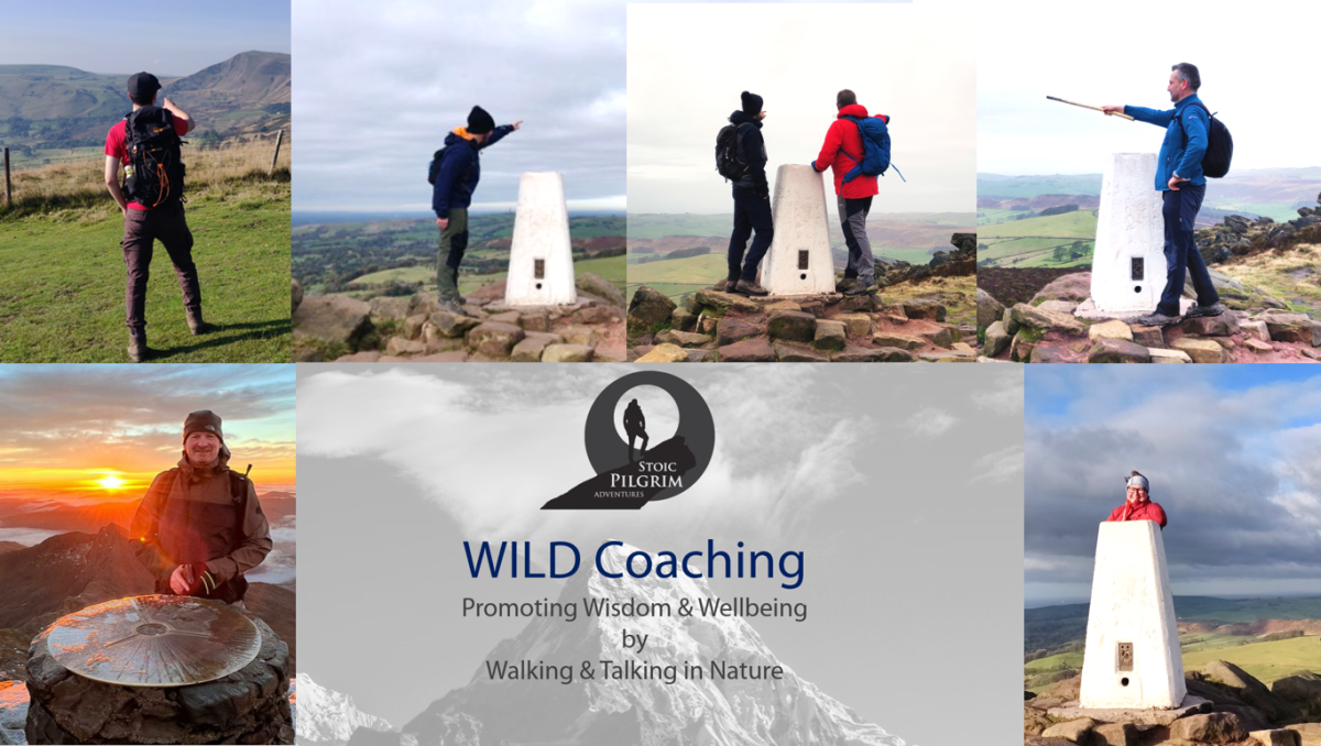 🌿 Step Into Clarity: W.I.L.D Coaching 🌿